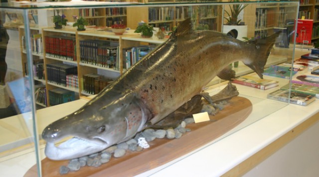 Oulainen | Suomiopas